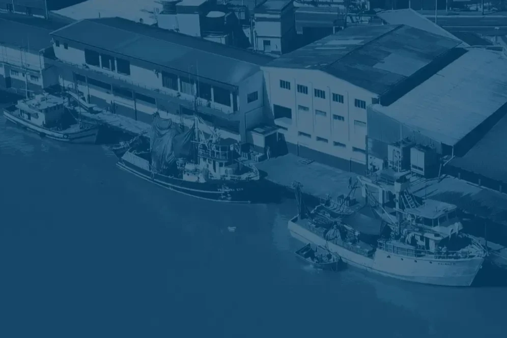 Sobre - David Gregorio Pescados | Tradição que alimenta